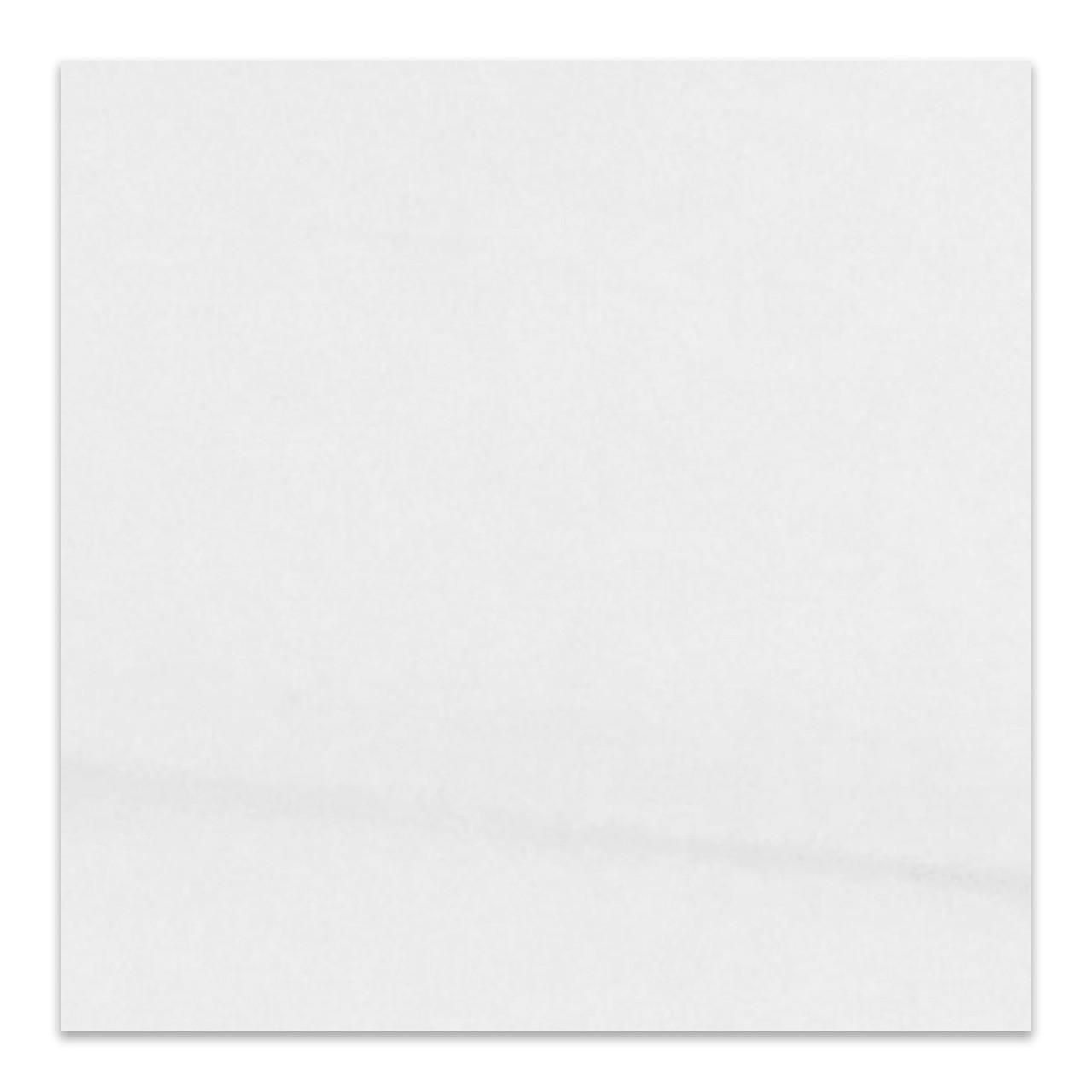 36" x 36" Bianco Dolomite Marble Tile Polished