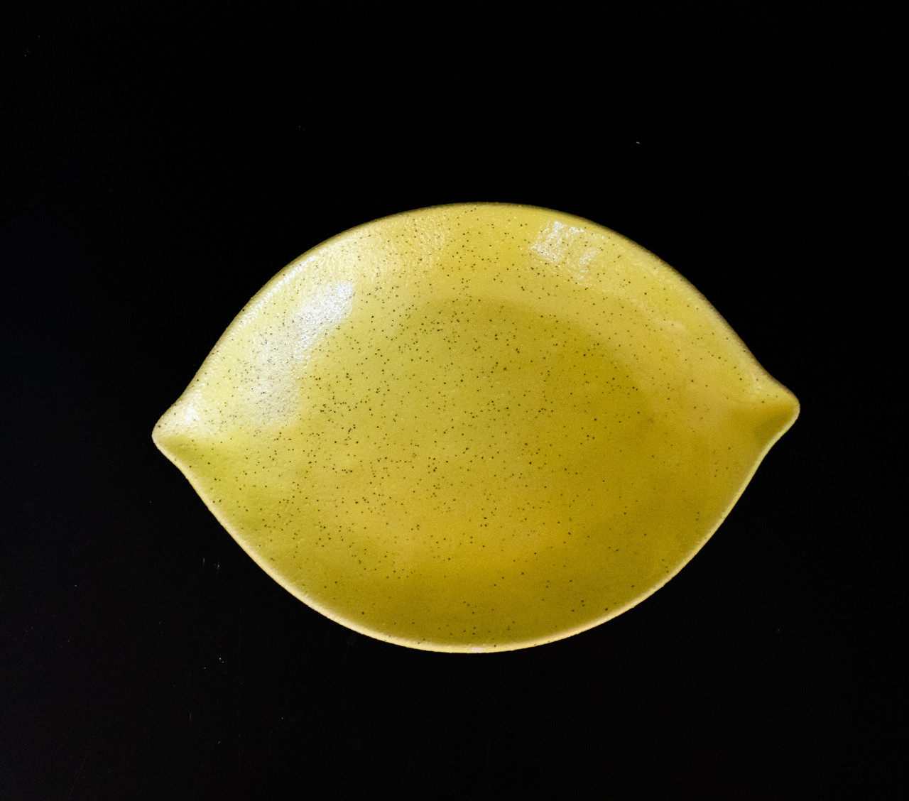 Lemon Tray - Tammy's Cool Things