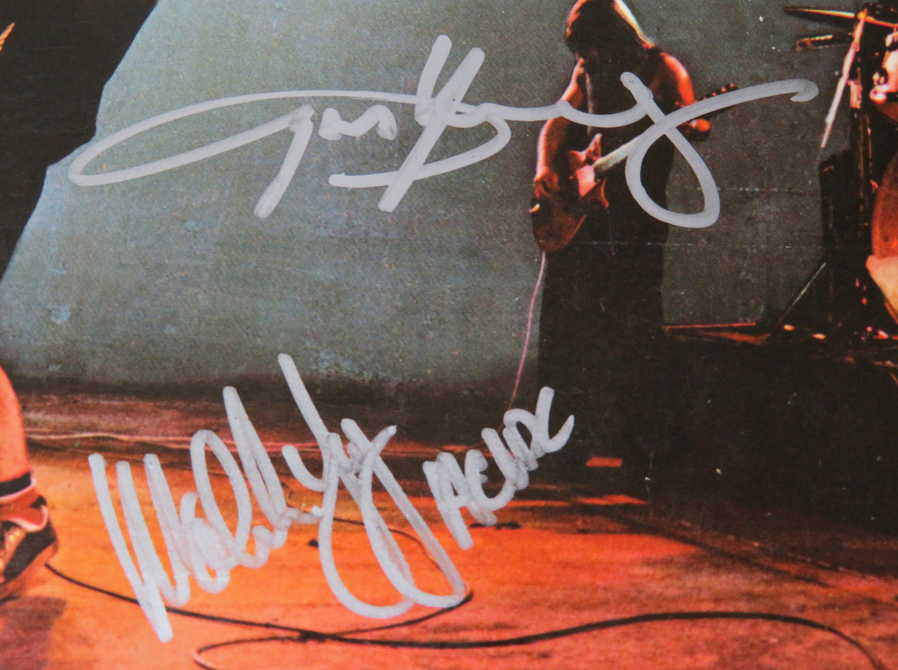 Signed Vinyls - Rock & Alternative - Premiere Collectibles