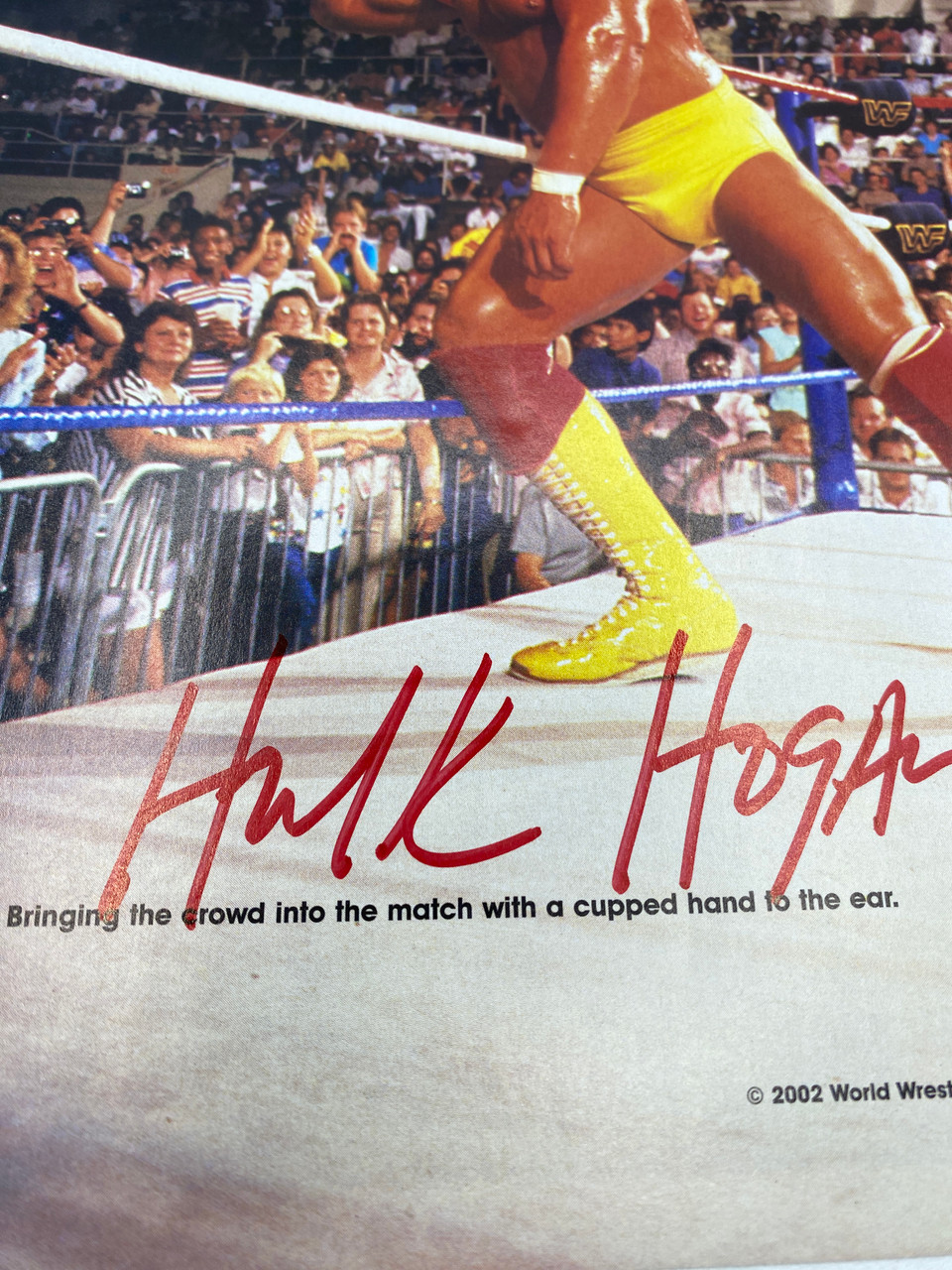 Hulk Hogan Signed Photo - Hulk Hogan (Signed Photo)