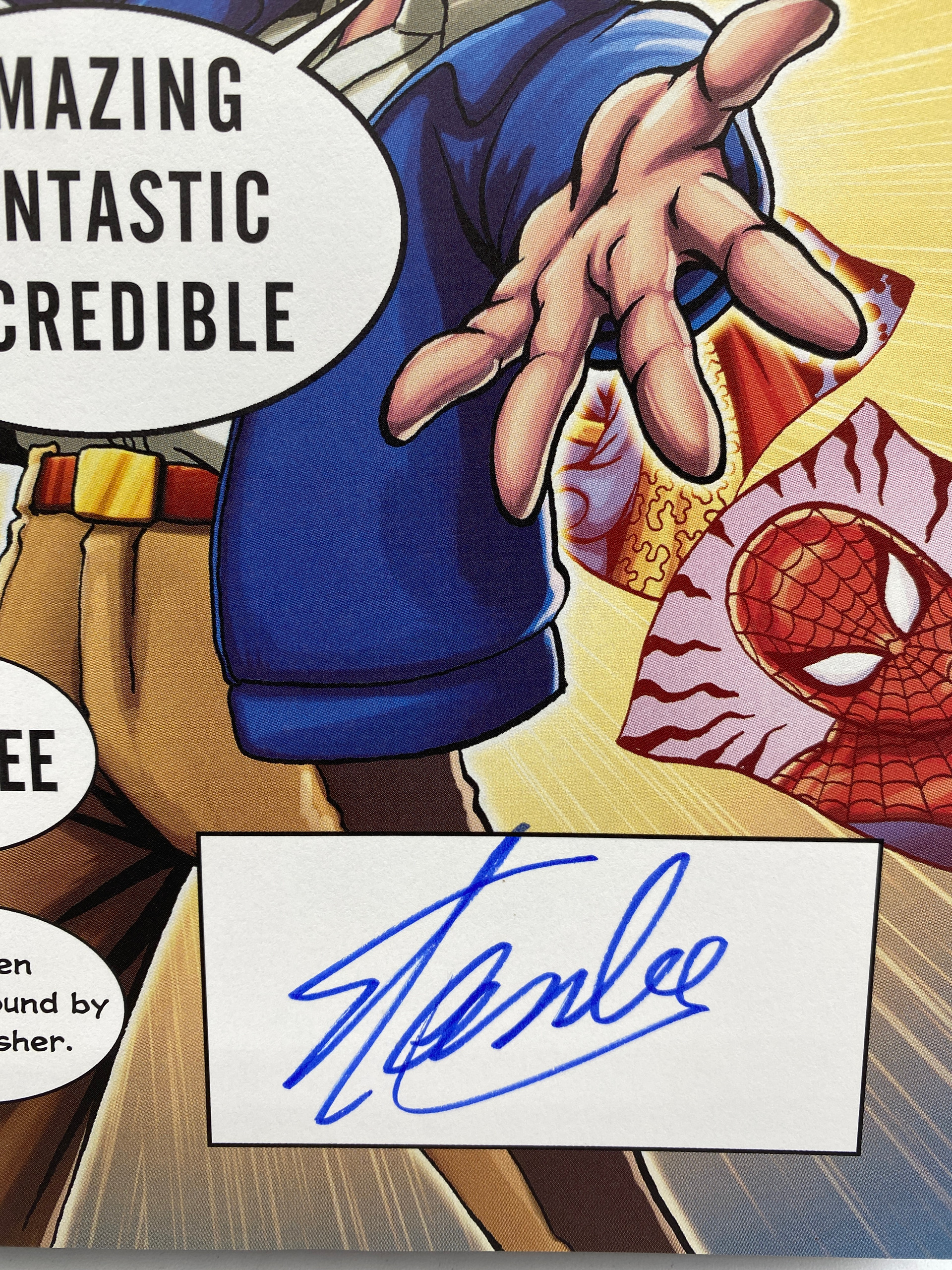 Amazing Fantastic Incredible Autographed by Stan Lee ...