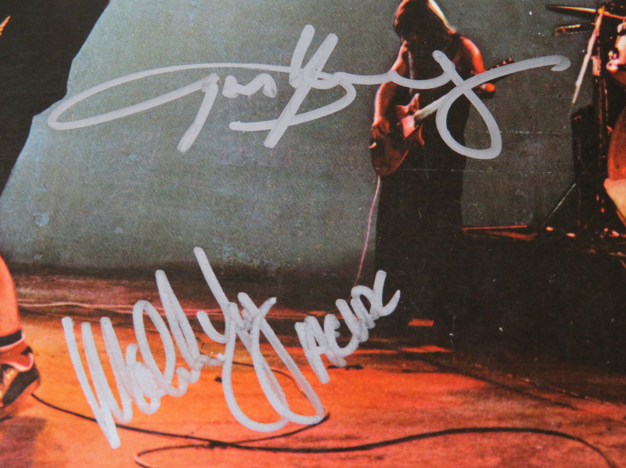 Signed Vinyls - Rock & Alternative - Premiere Collectibles