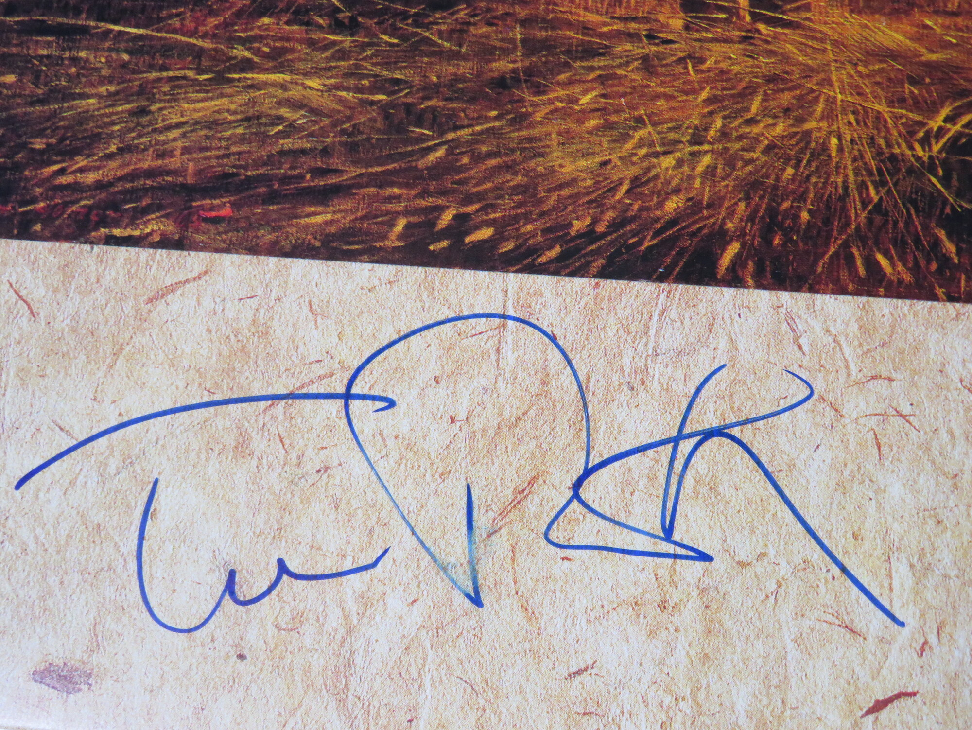 Signed Vinyls - Rock & Alternative - Premiere Collectibles