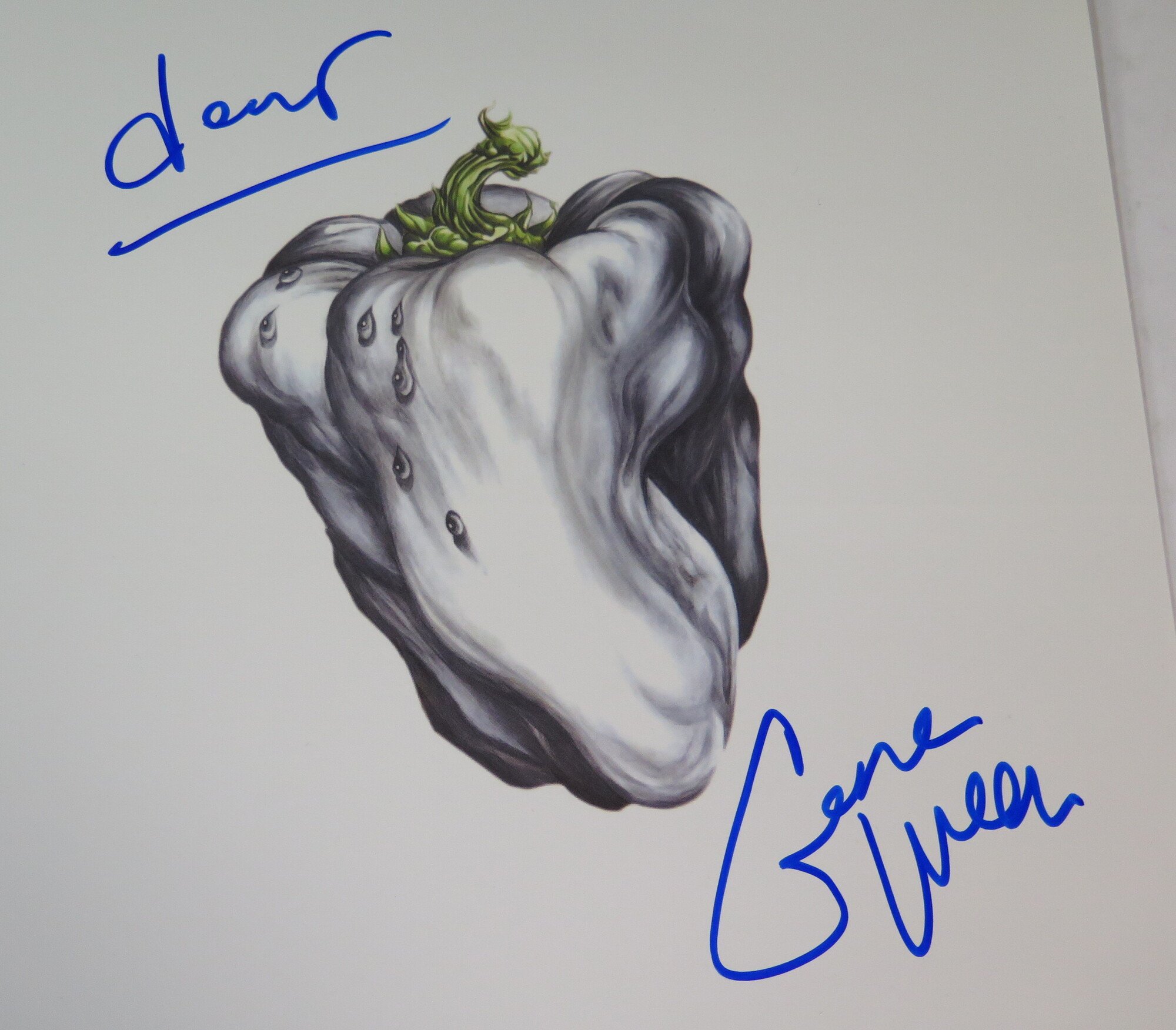 Signed Vinyls - Rock & Alternative - Premiere Collectibles