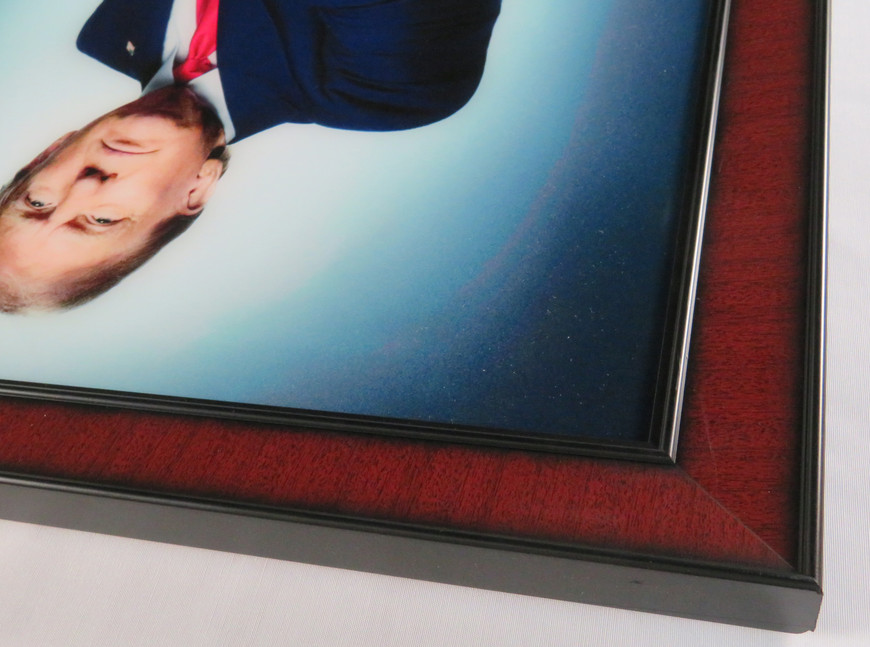 Donald Trump Framed Signed Display