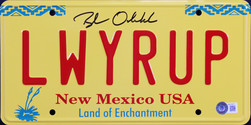 Bob Odenkirk Better Call Saul Authentic Signed License Plate ...