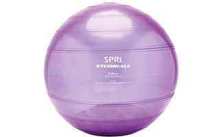 SPRI Stediball Exercise Ball