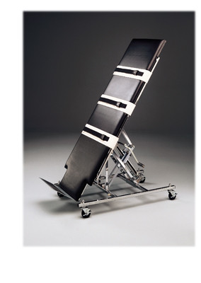 Professional Manual and Upholstered Tilt Table - prohealthcareproducts.com