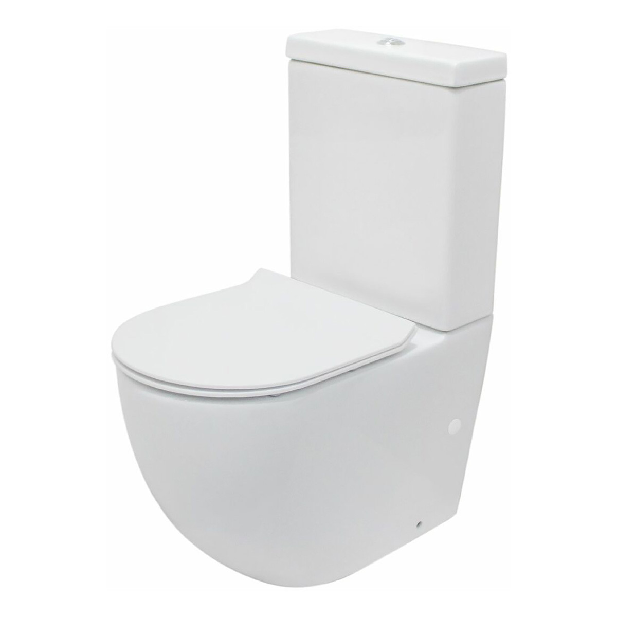 Raymor Winton Rimless Back-to-Wall Toilet Suite with Slim Seat