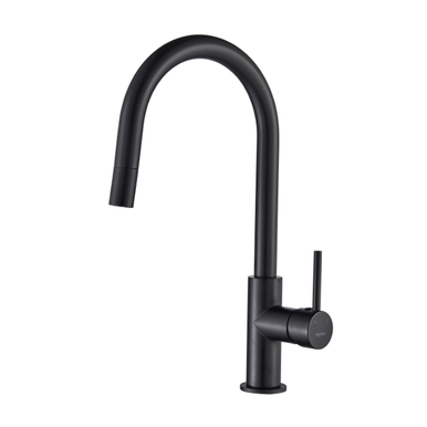 Raymor Projix Pull-Out Sink Mixer Black LF