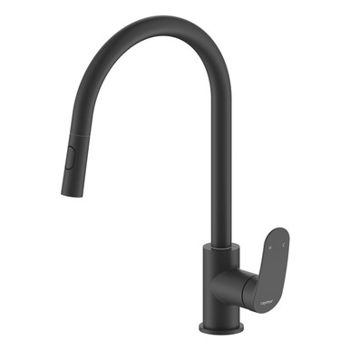 Raymor Winton Sink Mixer with Pullout and Veggie Spray Black LF in Black