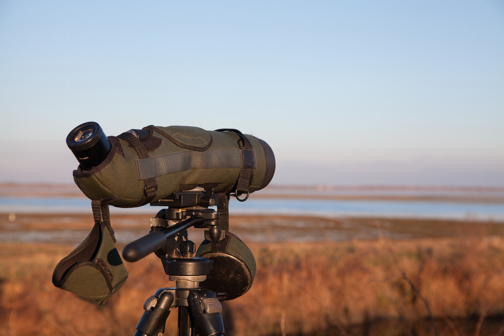 How to Sight-In a Rifle Scope: A Beginner’s Guide - ProArmory