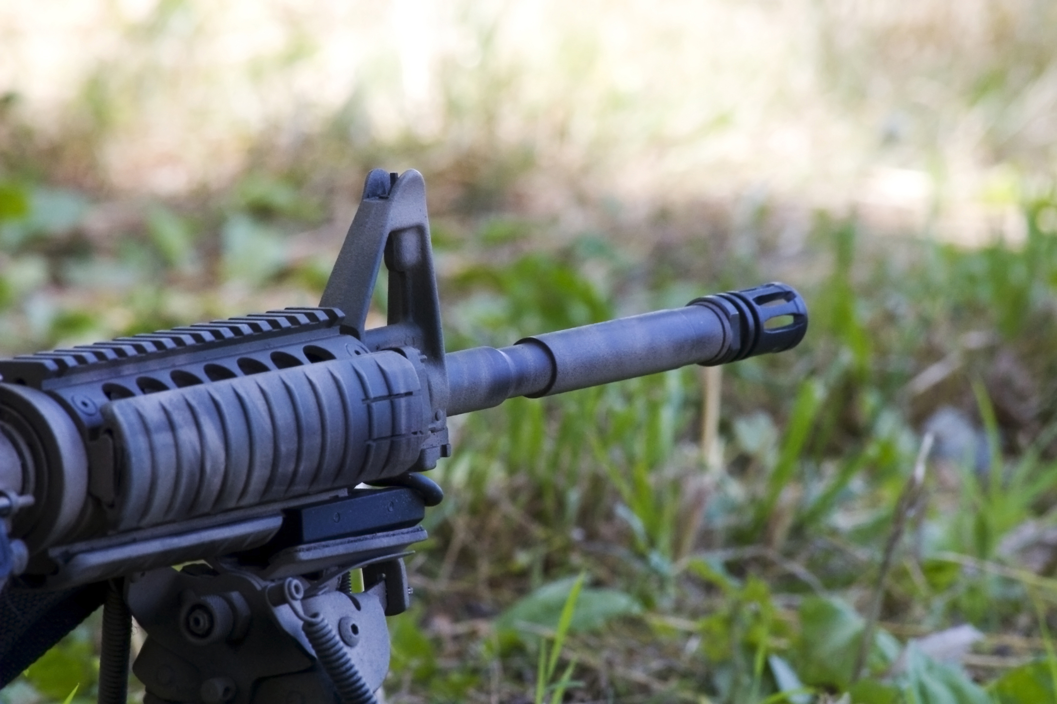 The 8 Best AR-15 Iron Sights - ProArmory