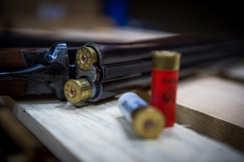 Buckshot Size Chart and Ammo Guide - ProArmory