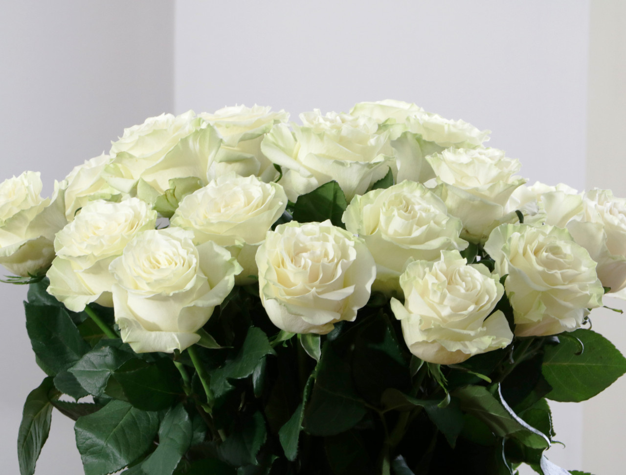 Rose Box - Jane Packer