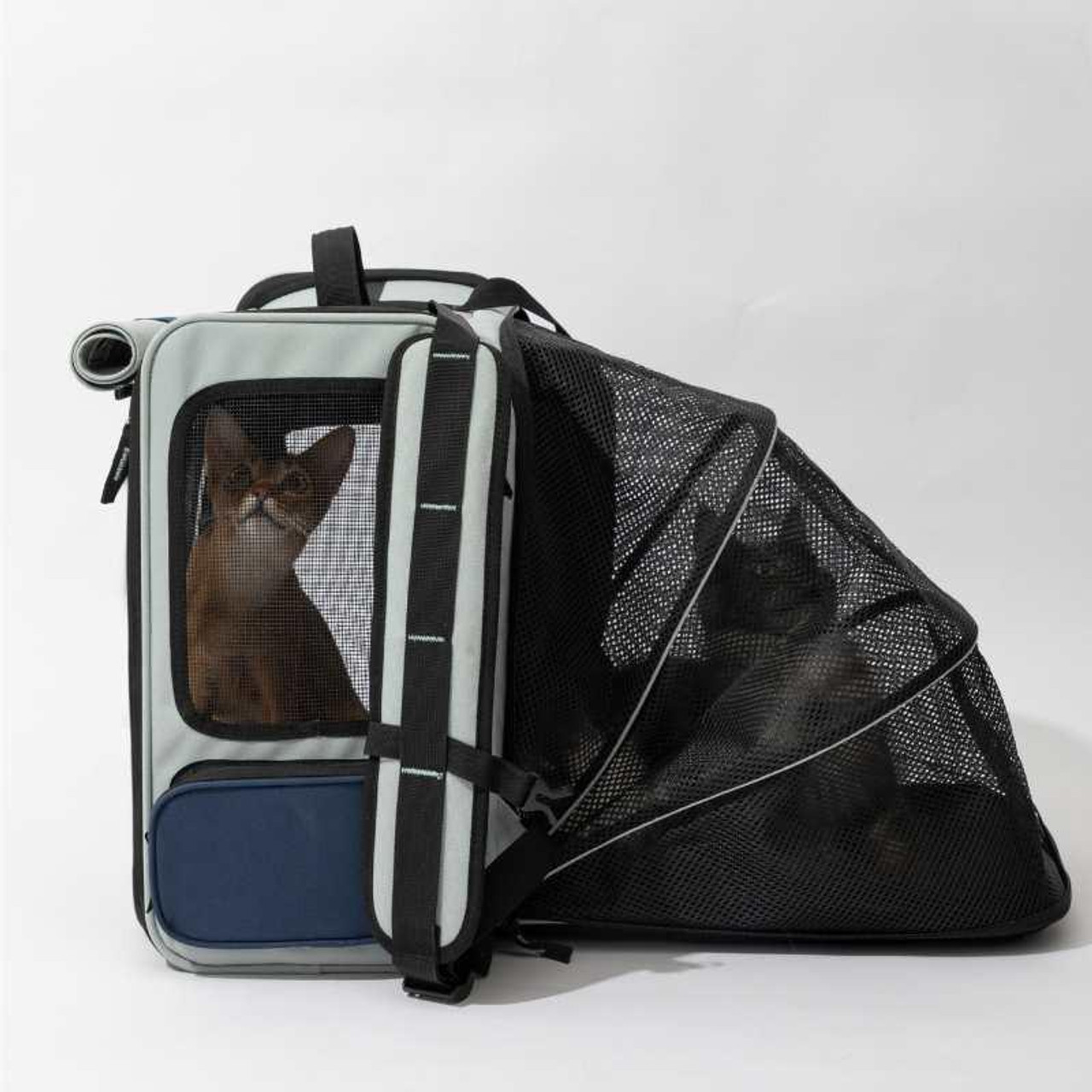 Backpack pets store
