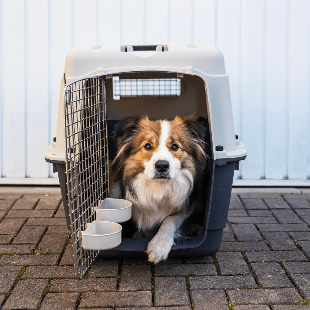 Henry Wag Air Kennel for Car Sea & Air | IATA Compliant - Pets Own Us