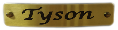 X Large Name Plate - Brass