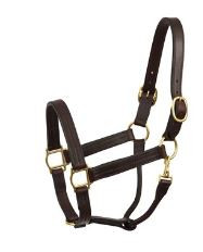 Jo's Premium Track Halter with Snap