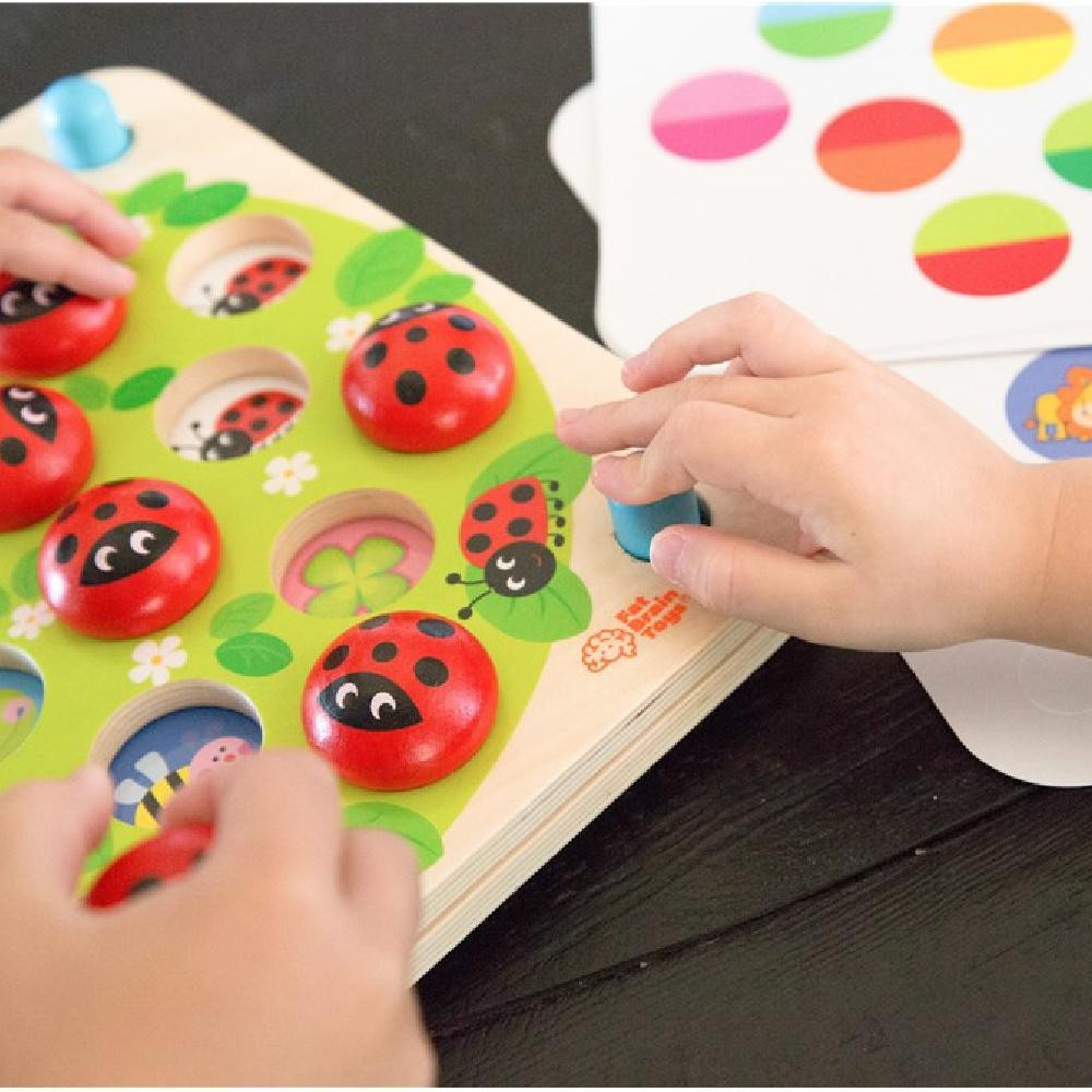 Ladybug's Garden Memory Game - Sensory Oasis for Kids