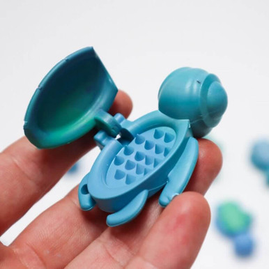 Calm Buddi Turtle Fidget I Spiky Tactile Sensory Relief