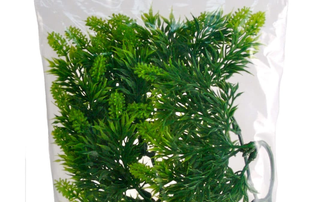 ZooMed Large Malaysian Fern