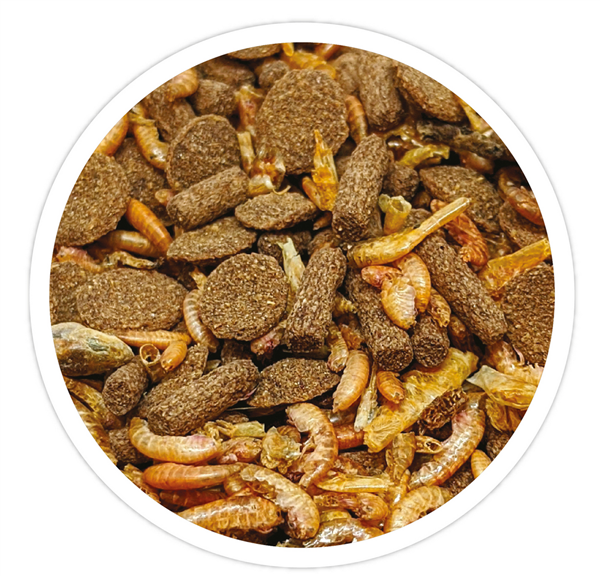 Reptile Systems Turtle Mix Compound Feed 125g