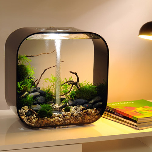 biOrb LIFE 8-Gallon MCR Black Aquarium 45826 @ Fish Tanks Direct