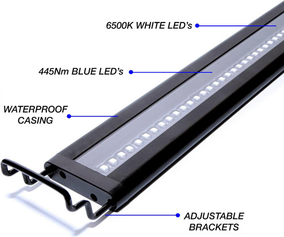 Current USA Satellite LED Fixture 48-60"