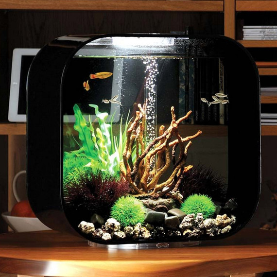 biOrb LIFE 8-Gallon MCR Black Aquarium 45826 @ Fish Tanks Direct