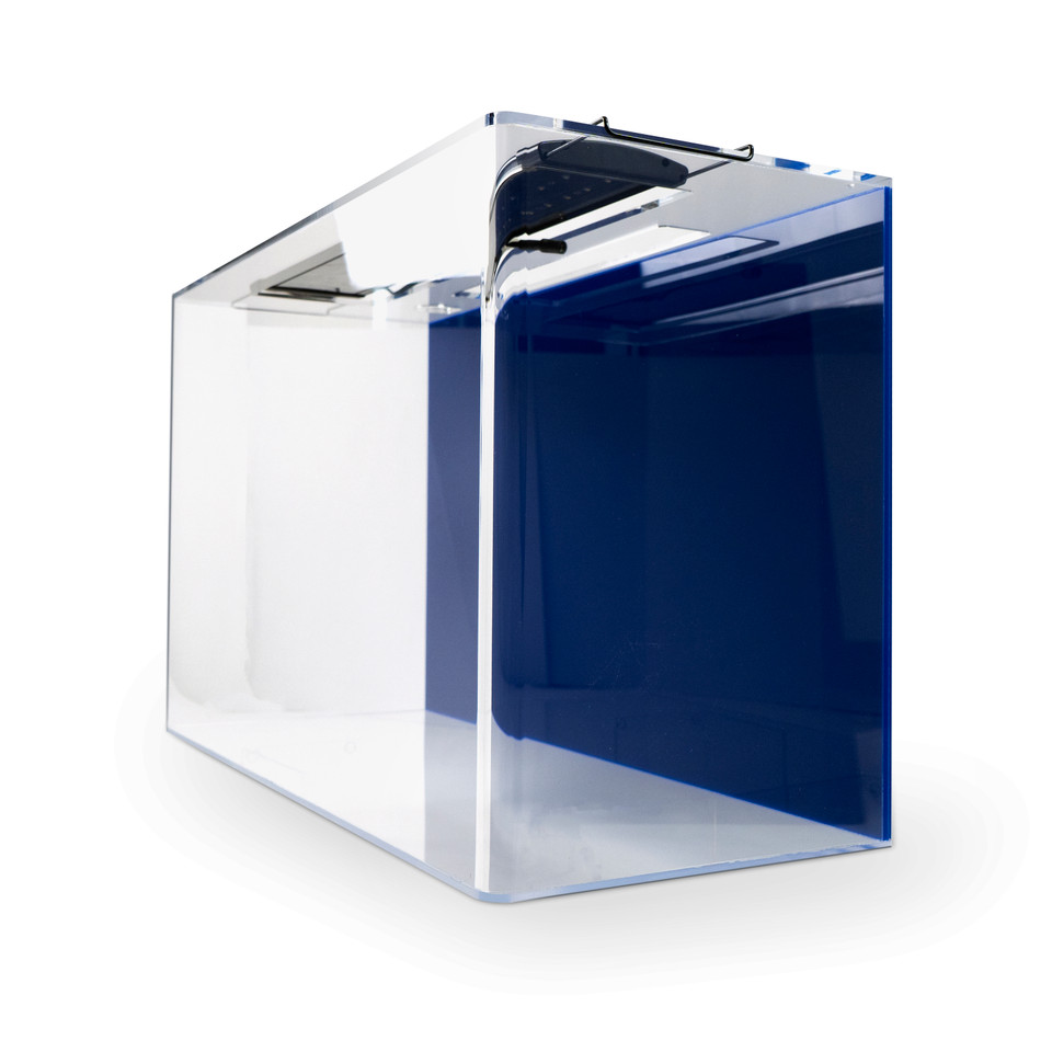 SeaClear 40-Gallon 36"Lx15"Wx16"H Rectangular Acrylic Fish Tank 10-100 ...