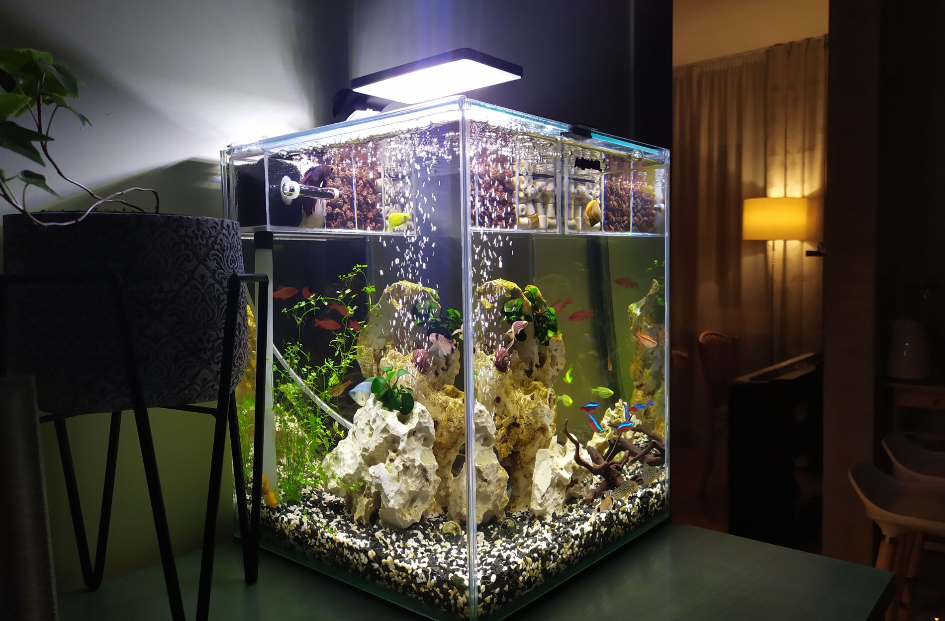 Essential Aquarium Lighting Guide for Healthy Tanks - Fish Tanks Direct