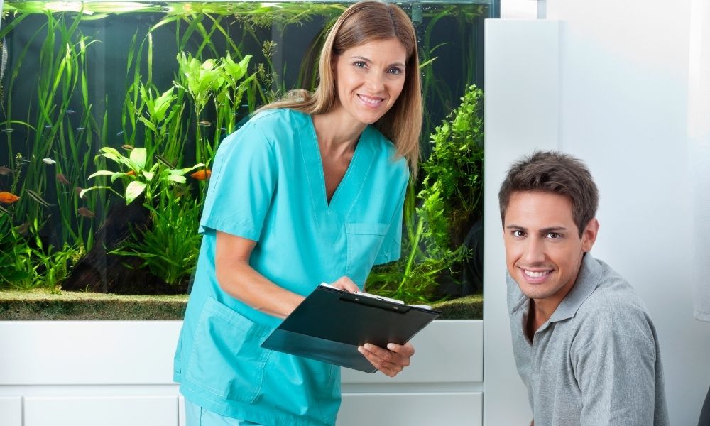 3 Reasons Why Dentist Offices Have Fish Tanks - Fish Tanks Direct