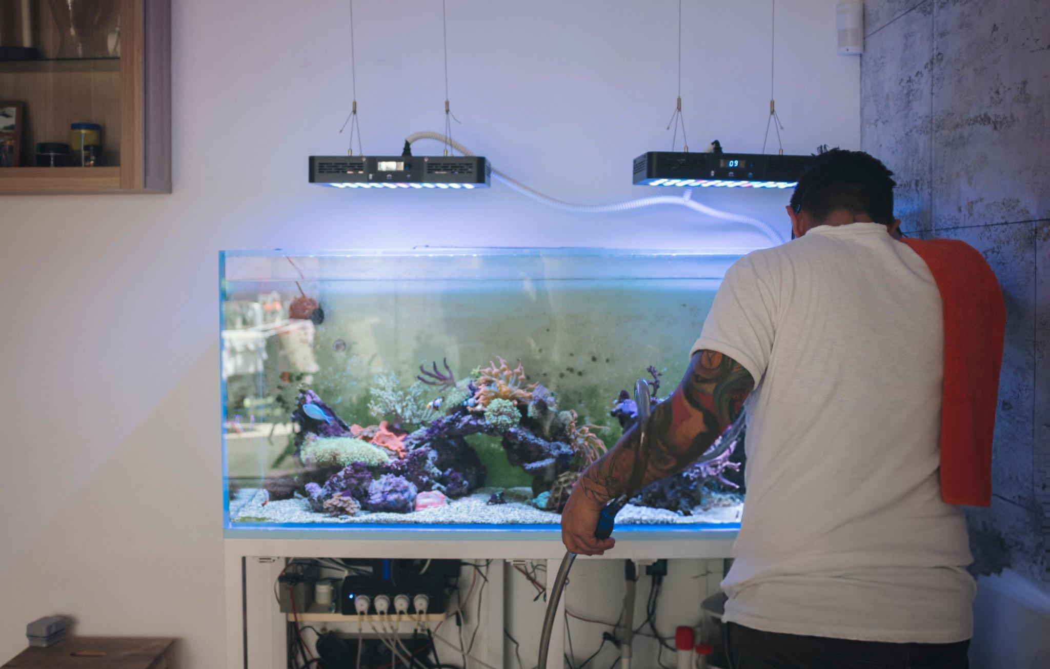 What to Do When Your Sump Tank Aquarium Overflows - Fish Tanks Direct