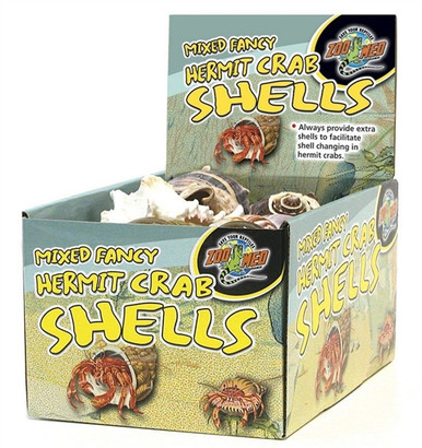 Zoomed Hermit Crab Fancy Shells 24 PC Counter Display