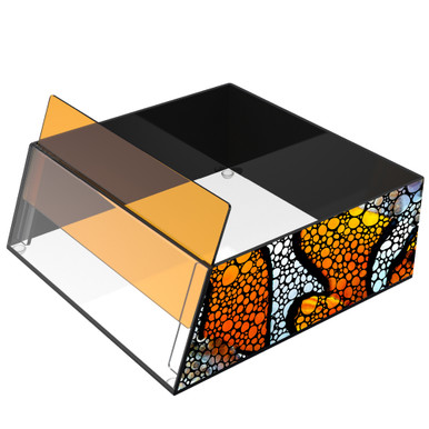 Flipper Top Down Viewer Limited Edition Clownfish