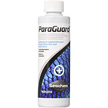 Seachem ParaGuard 250 ml @ Fish Tanks Direct