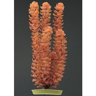 Marina 8" Foxtail PP810 @ Fish Tanks Direct