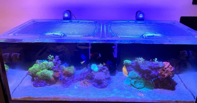 Top-Lids Reefer 625 poly-carb lid