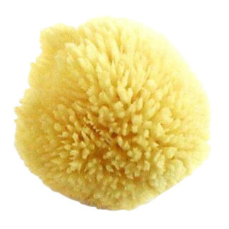 Natural Sea Sponge Wool Sponge | Bath & Unwind | Official Stockist