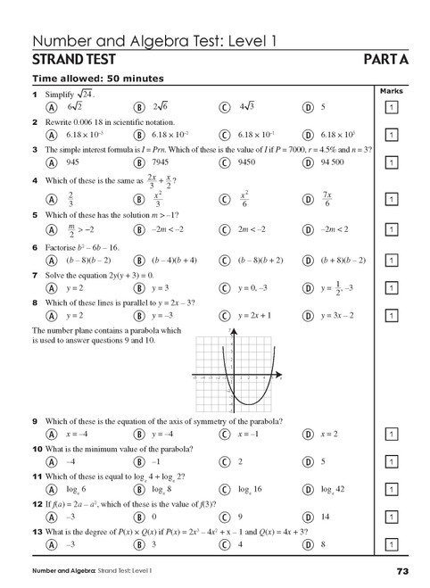 Excel Year 10 Mathematics Practice Tests | Pascal Press