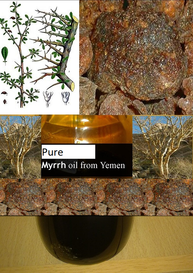 Pure Myrrh oil 6ml - non alcoholic - www.qt-store.com