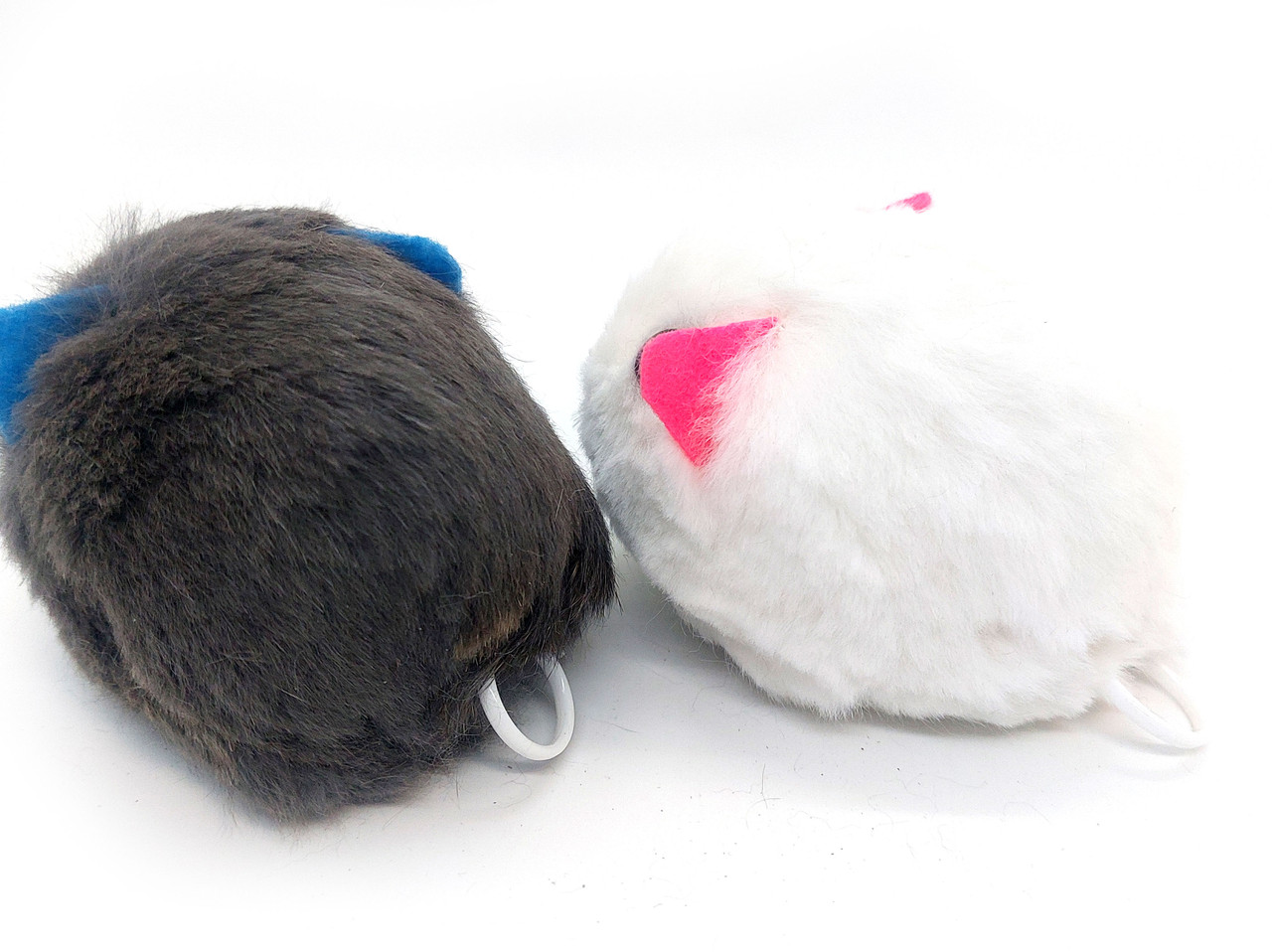 Pig Pull Toy for Cats | Interactive Cat Toy | Cats 'n Us