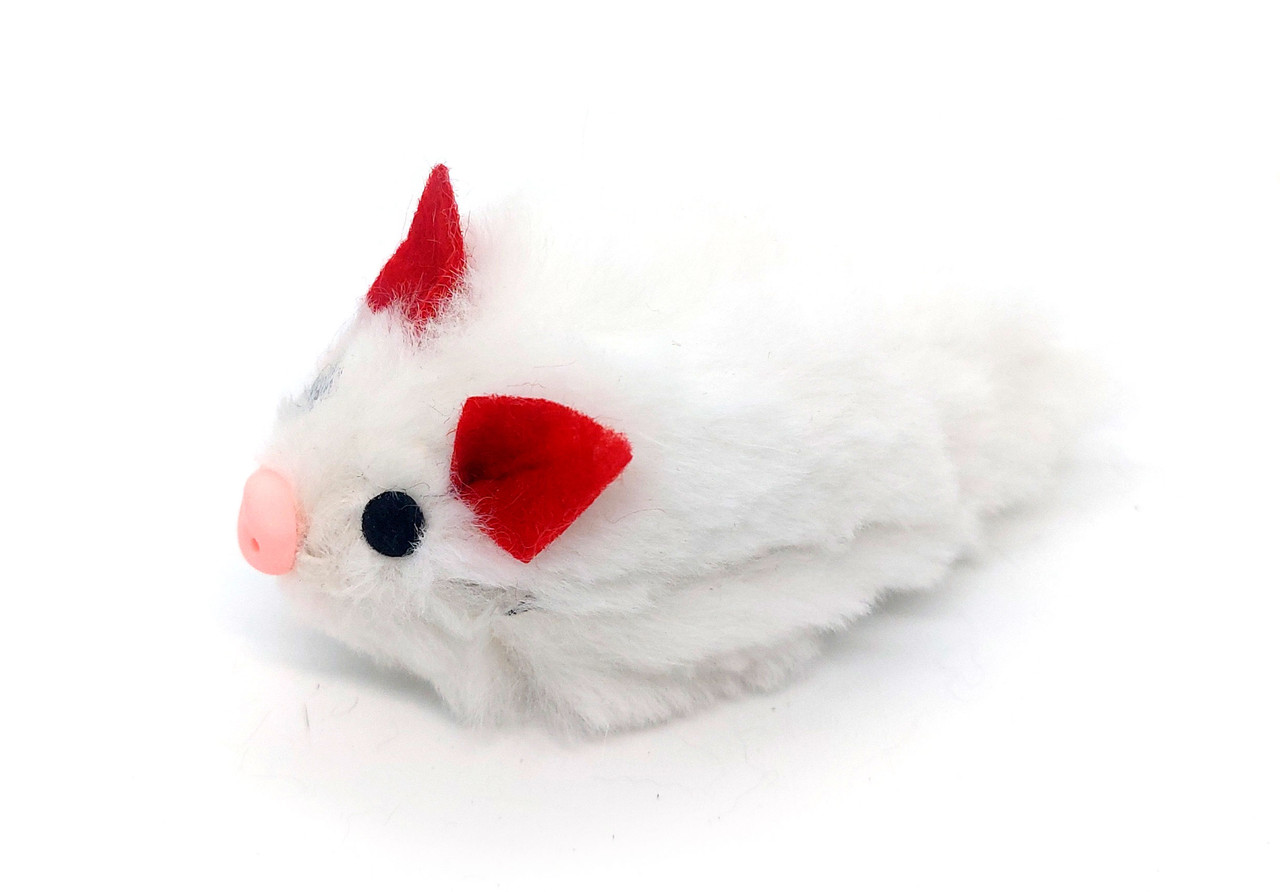 Cat Pig Squeak Toy | Fun Interactive Pet Toy | Cats 'n Us