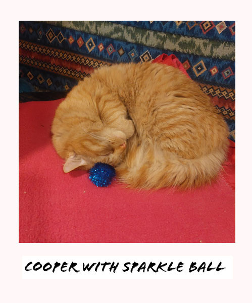 Shop Sparkle Ball Cat Toy | Tuff Kitty Puff | Cats 'n Us