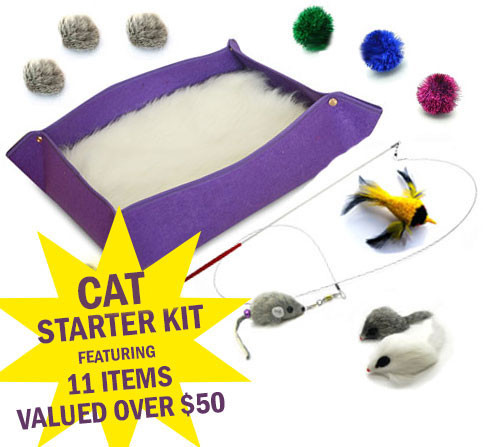 Discover Cat Toy Kits | Cat Toy Packages | Cats 'n Us