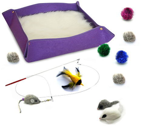 Discover Cat Toy Kits | Cat Toy Packages | Cats 'n Us