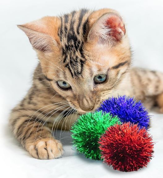 Choosing the right sparkle ball cat toy for your cat - Kats'n Us