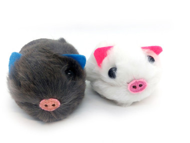 Pig Pull Toy for Cats | Interactive Cat Toy | Cats 'n Us