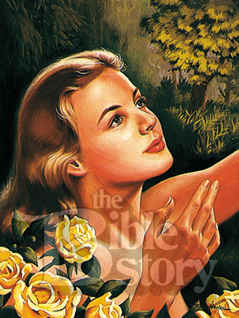 The Bible Story Set of 10 Volumes - by Arthur S. Maxwell - Melt the Heart